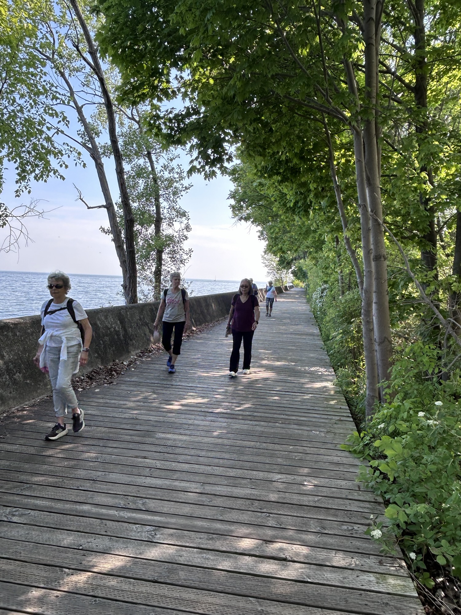 Walks Saturday June 14 to Friday June 20 | We are the Shore Things